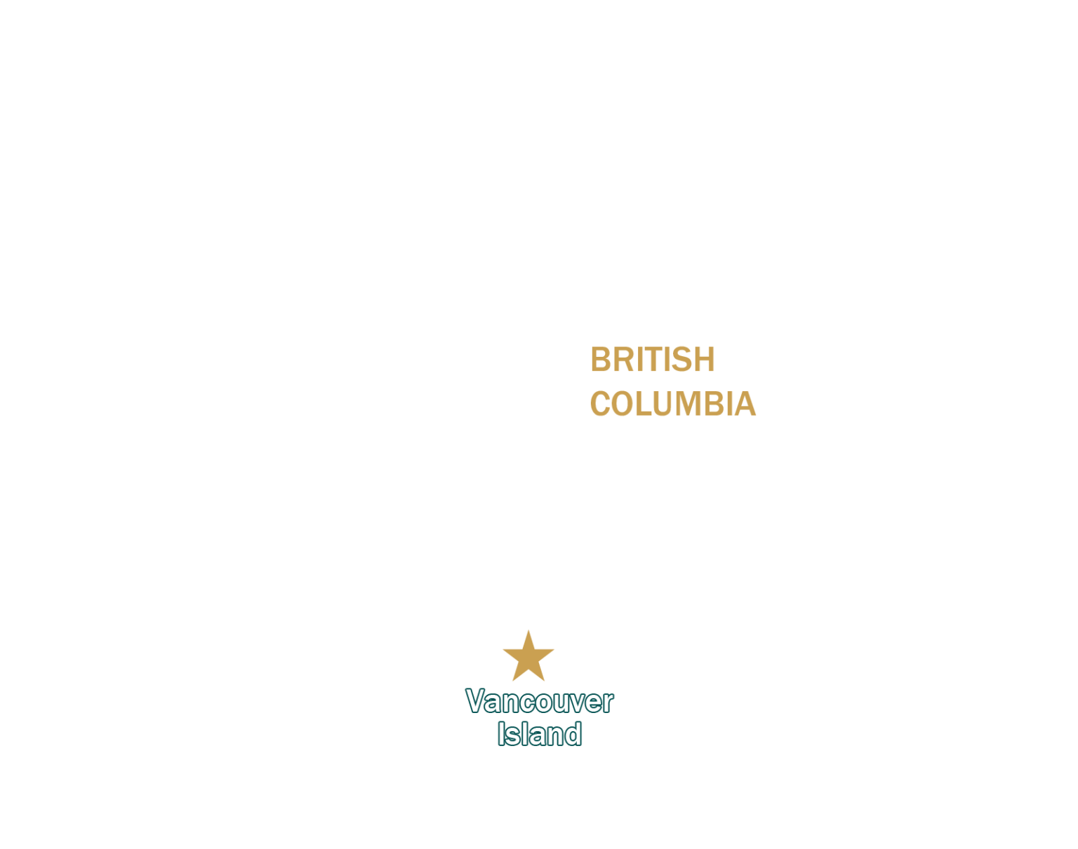 Company - Rex Resources